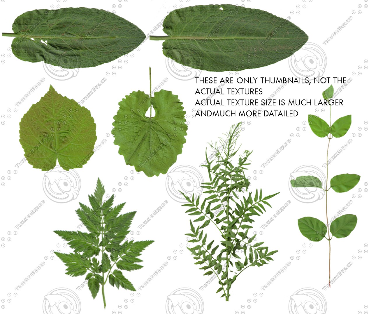 The Foliage Collection - TurboSquid 421058