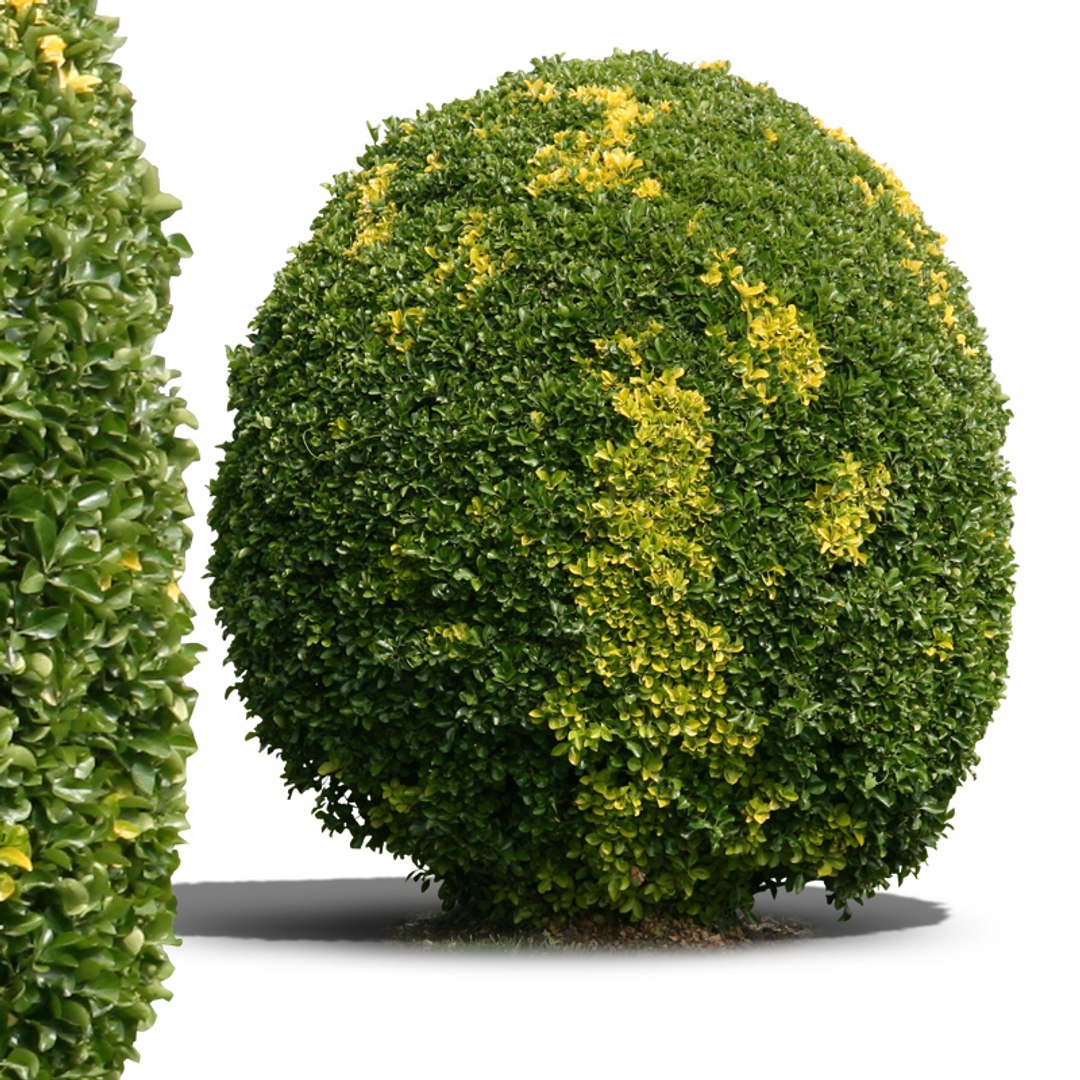 Green Collection 3 - TurboSquid 423713