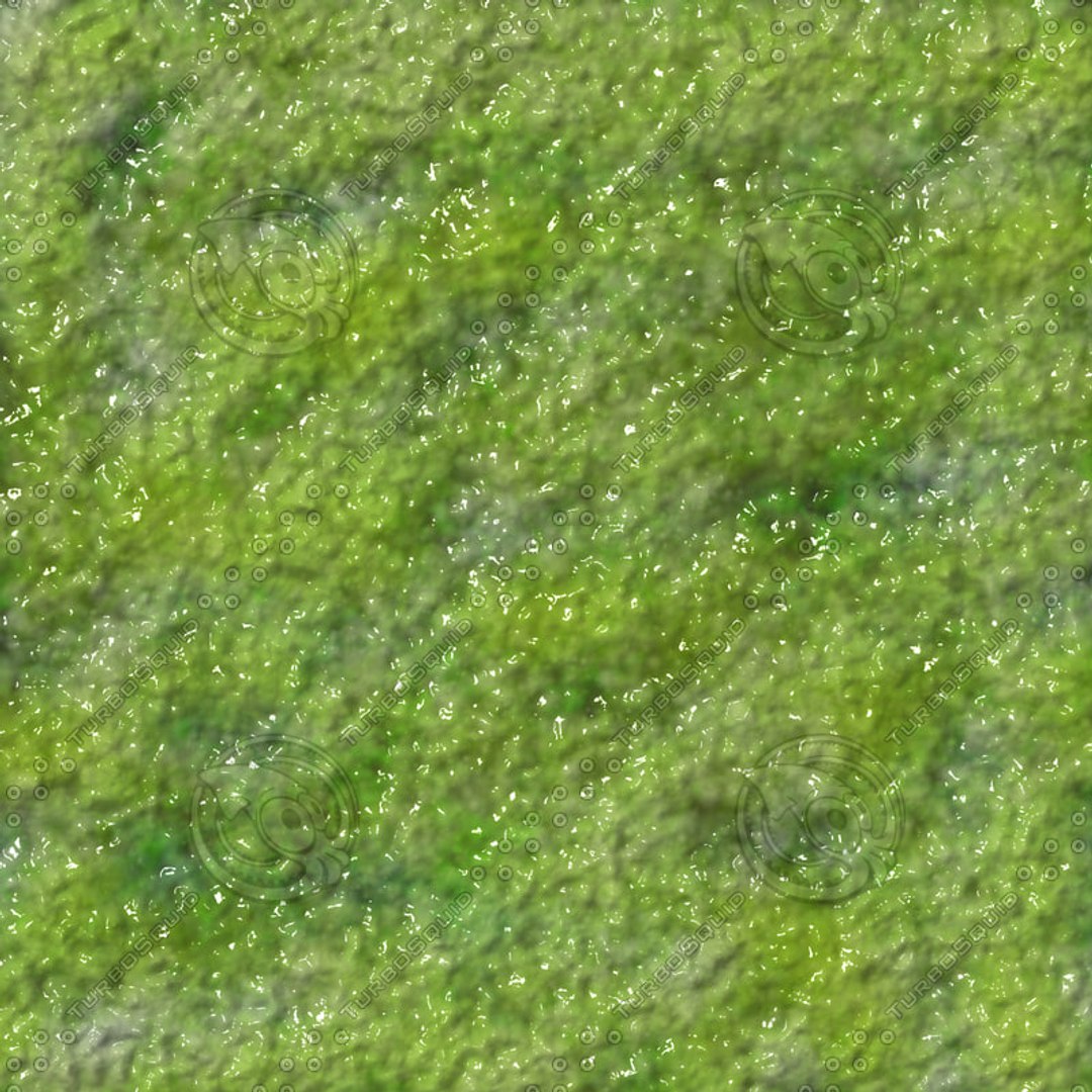 Green Slime - High Resolution CG Texture - TurboSquid 423793