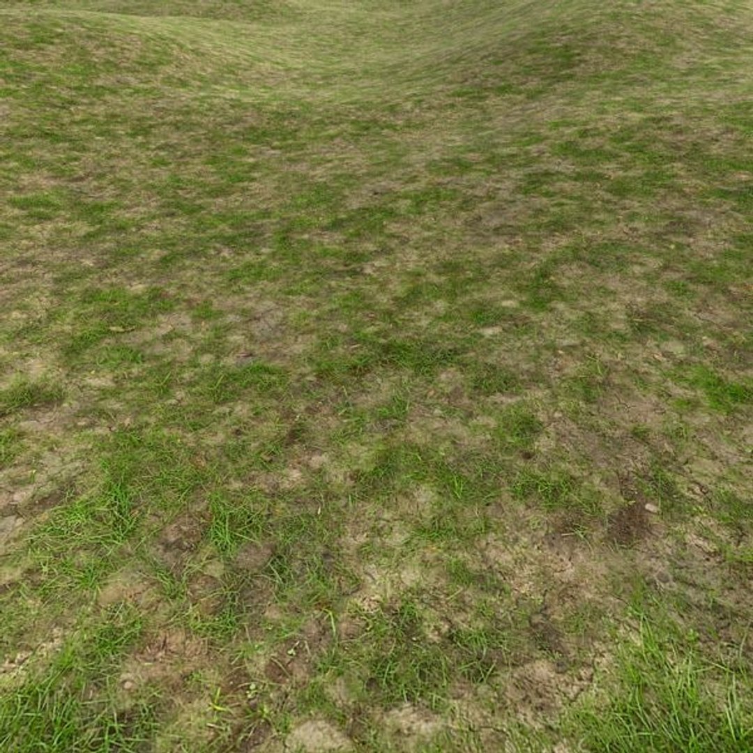 Grass Textures Vol.3 - TurboSquid 472504