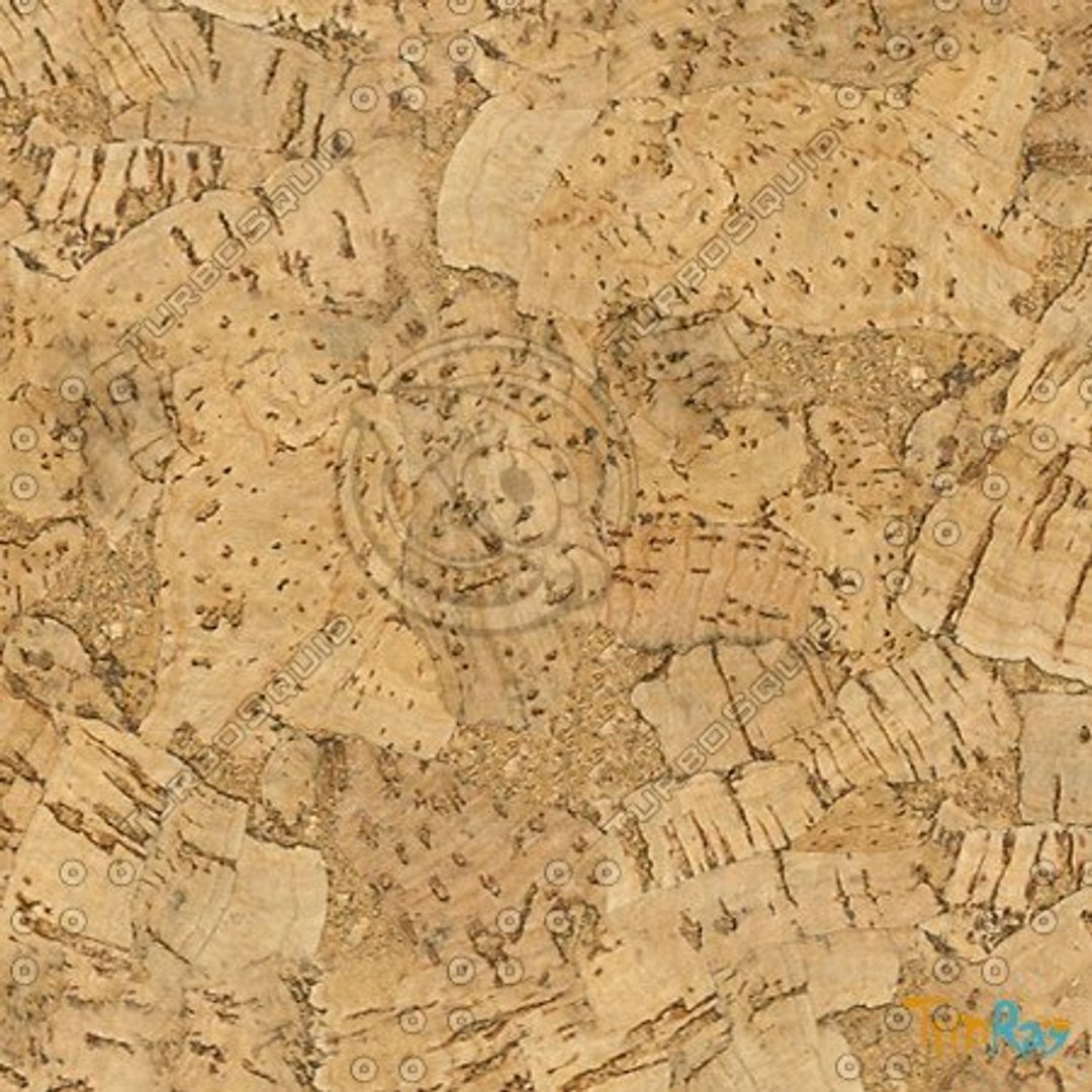 Cork D-002 - TurboSquid 463110