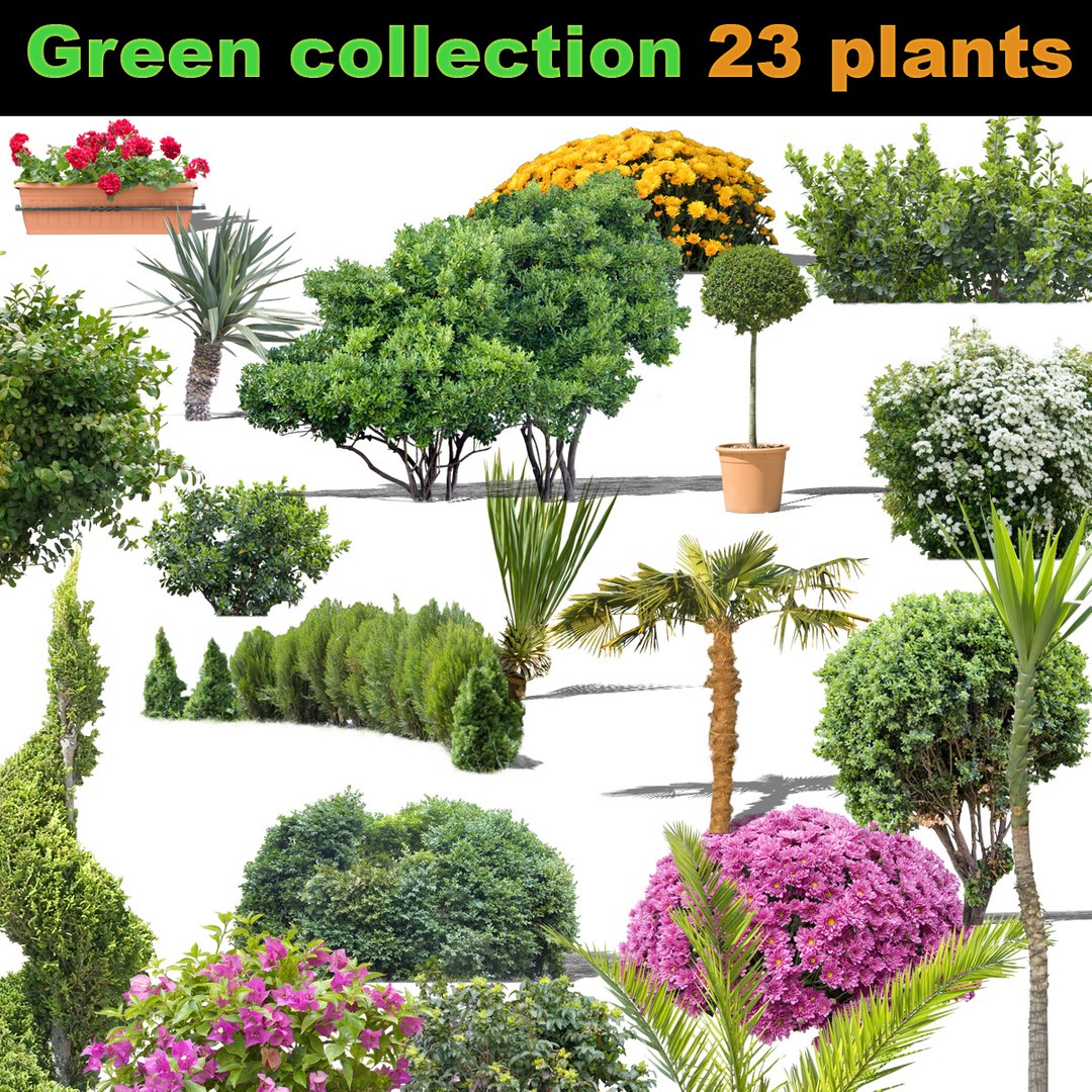 Green Collection 23 Plants - TurboSquid 468244