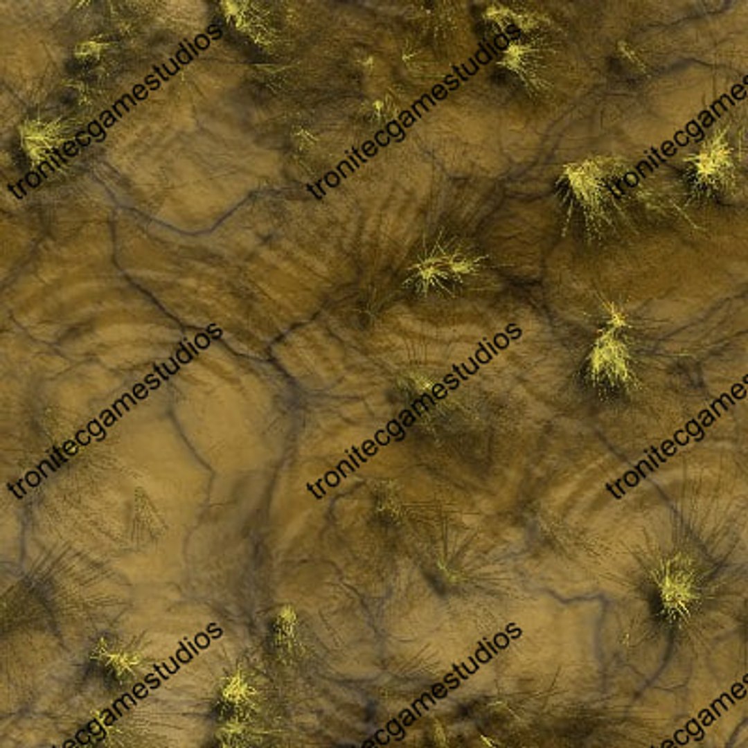 10 High Res Marsh Textures - TurboSquid 455934