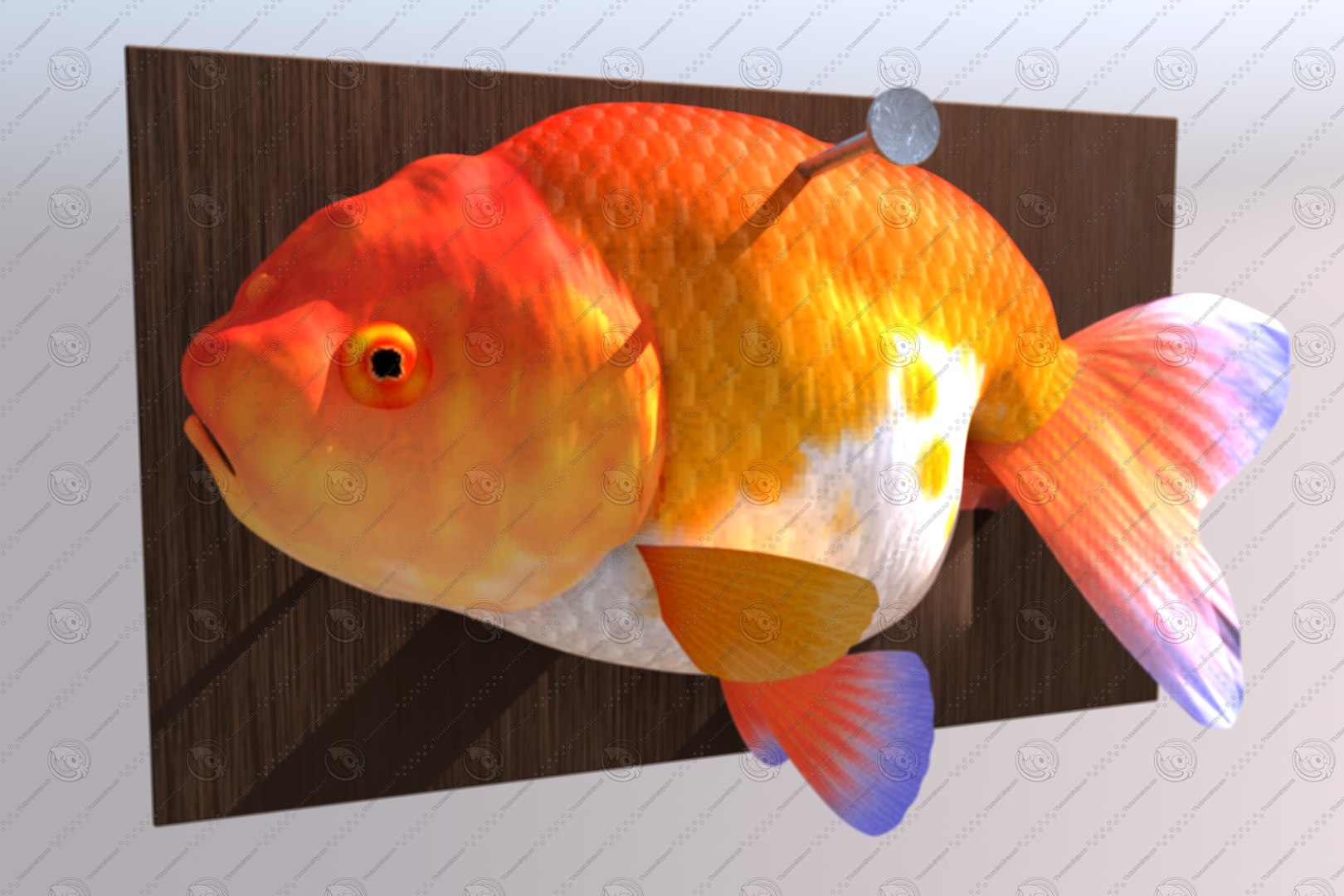 Fish2.jpg - TurboSquid 487388