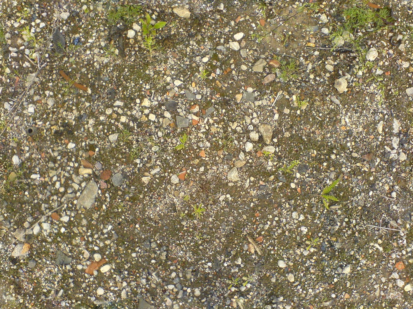 Ground texture - TurboSquid 478668