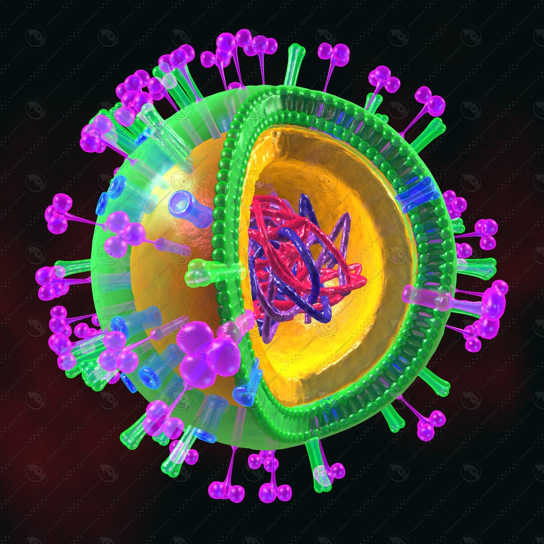 Swine Flu H1n1 Virus - TurboSquid 502289