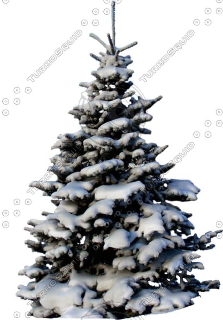 Snow covered wintertree - TurboSquid 477170