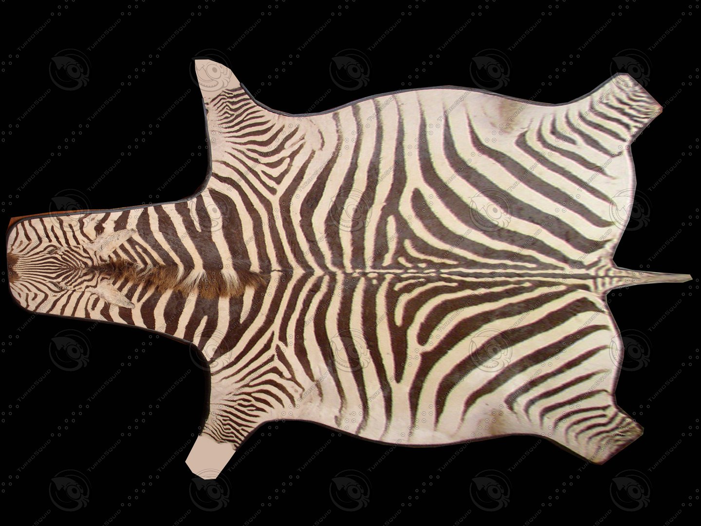 Zebra_skin.jpg - TurboSquid 487966