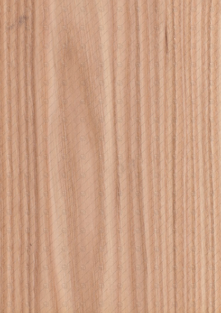 Sweet Chestnut Veneer Texture - TurboSquid 504255