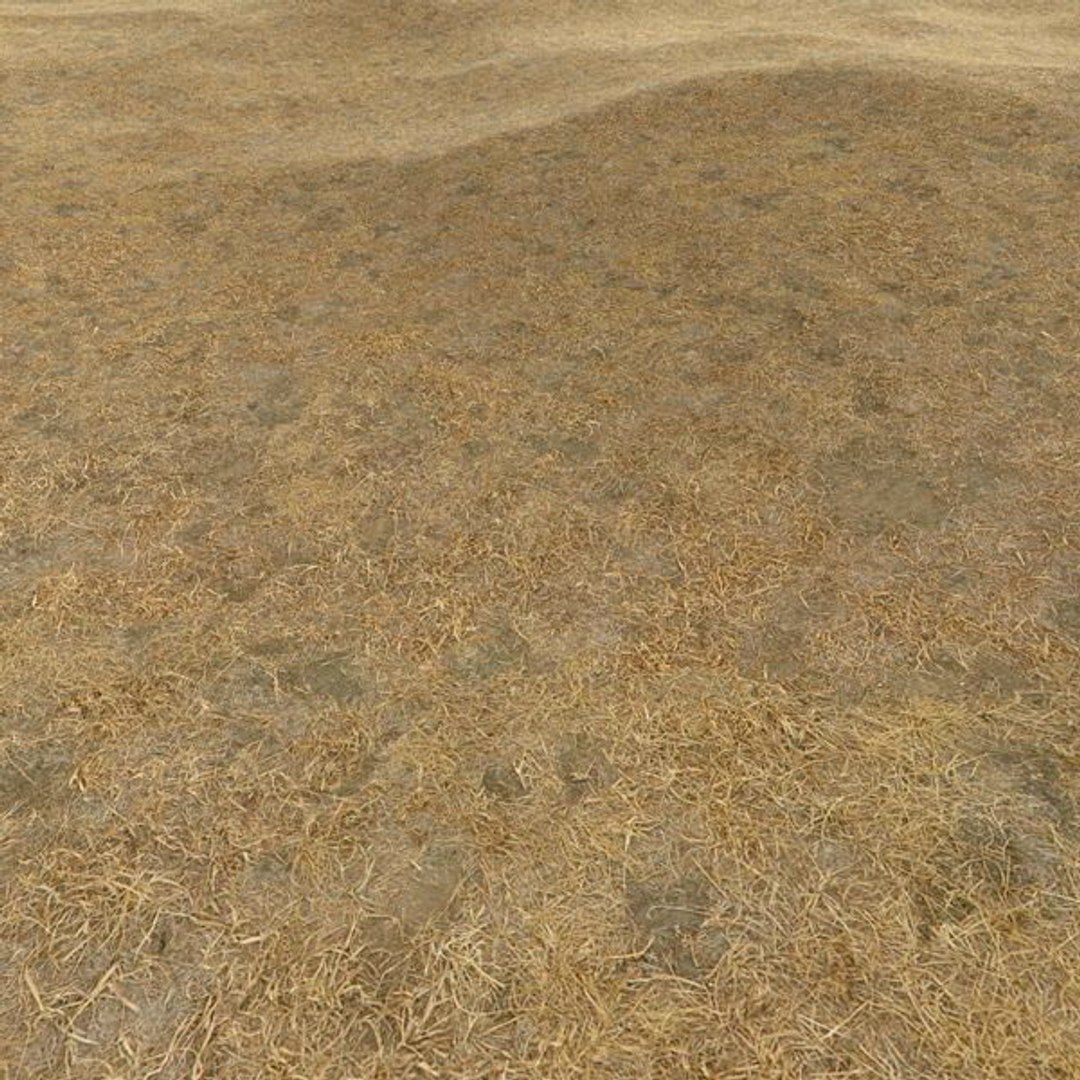 Grass Textures vol.9 - TurboSquid 544929