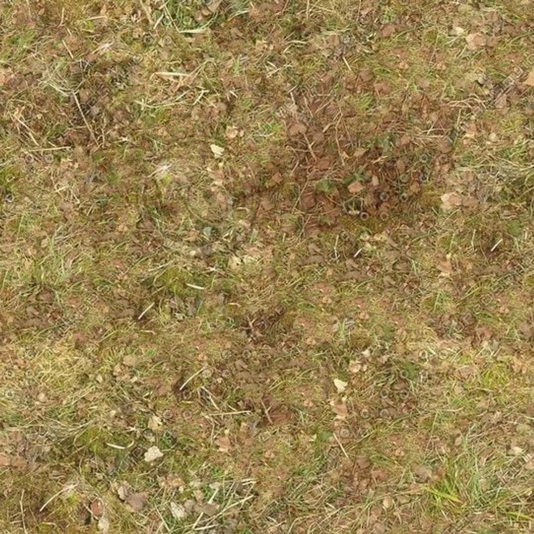 Dry Grass Tileable Texture #2 - TurboSquid 535089