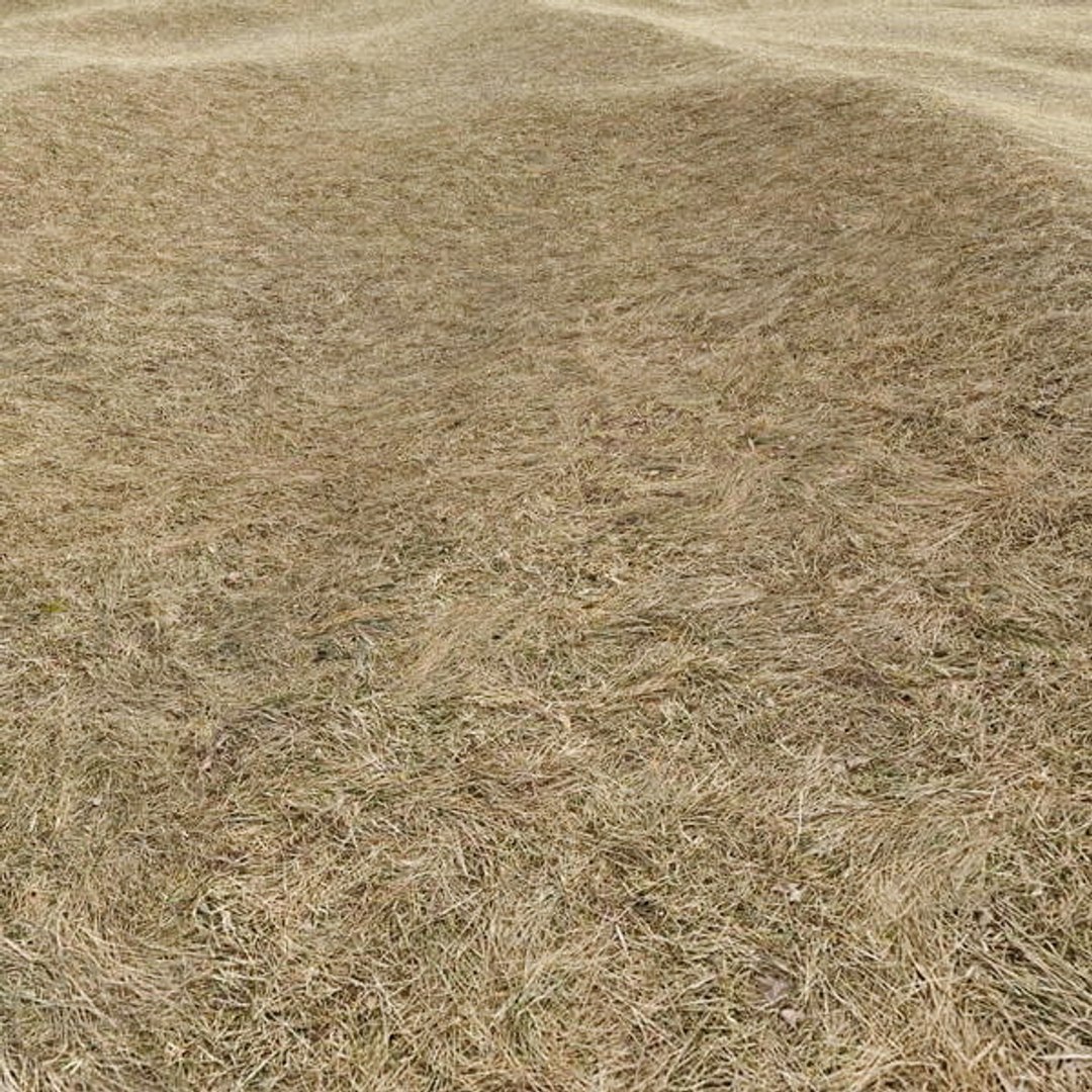 Grass Textures vol.10 - TurboSquid 556724