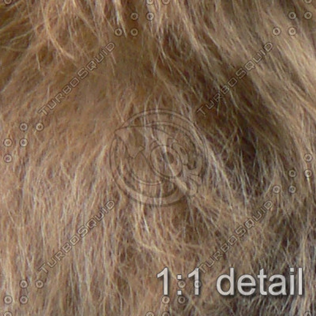 Fur Collection - TurboSquid 548121