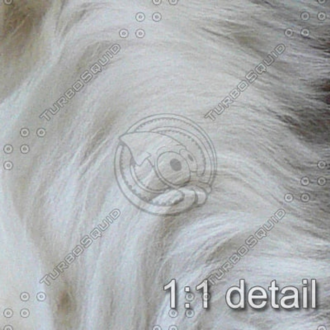 Fur Collection - TurboSquid 548121