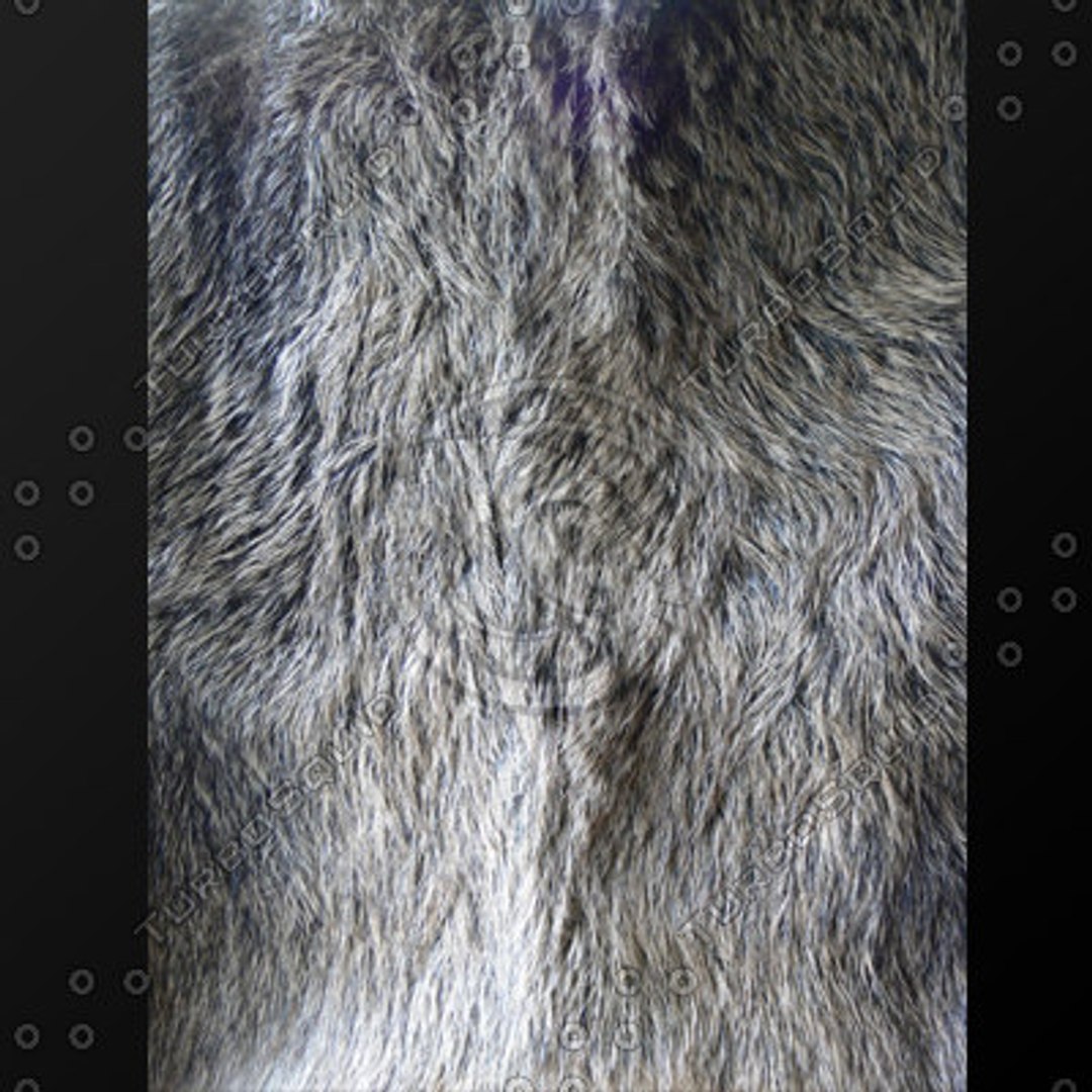 Fur Collection - TurboSquid 548121