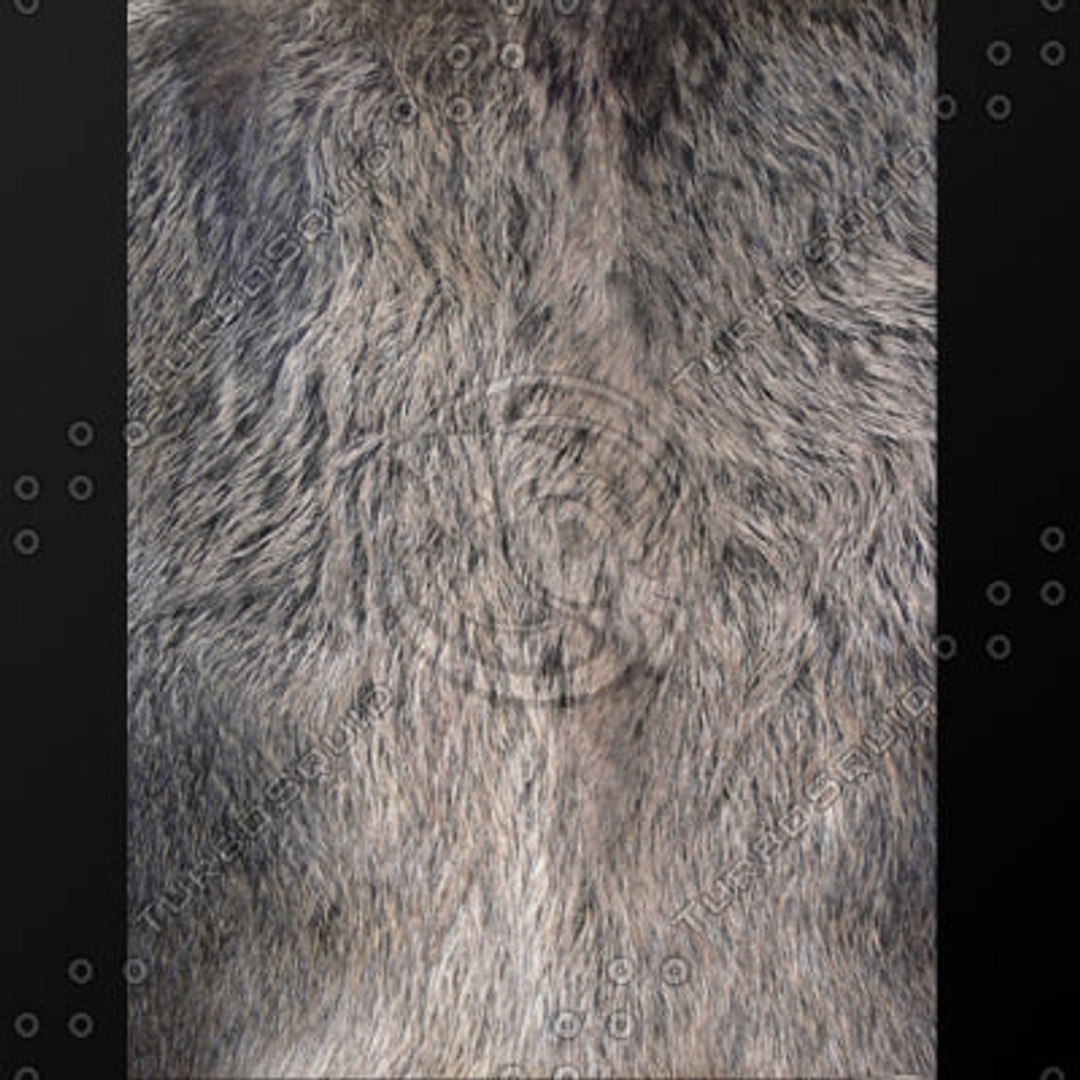Fur Collection - TurboSquid 548121