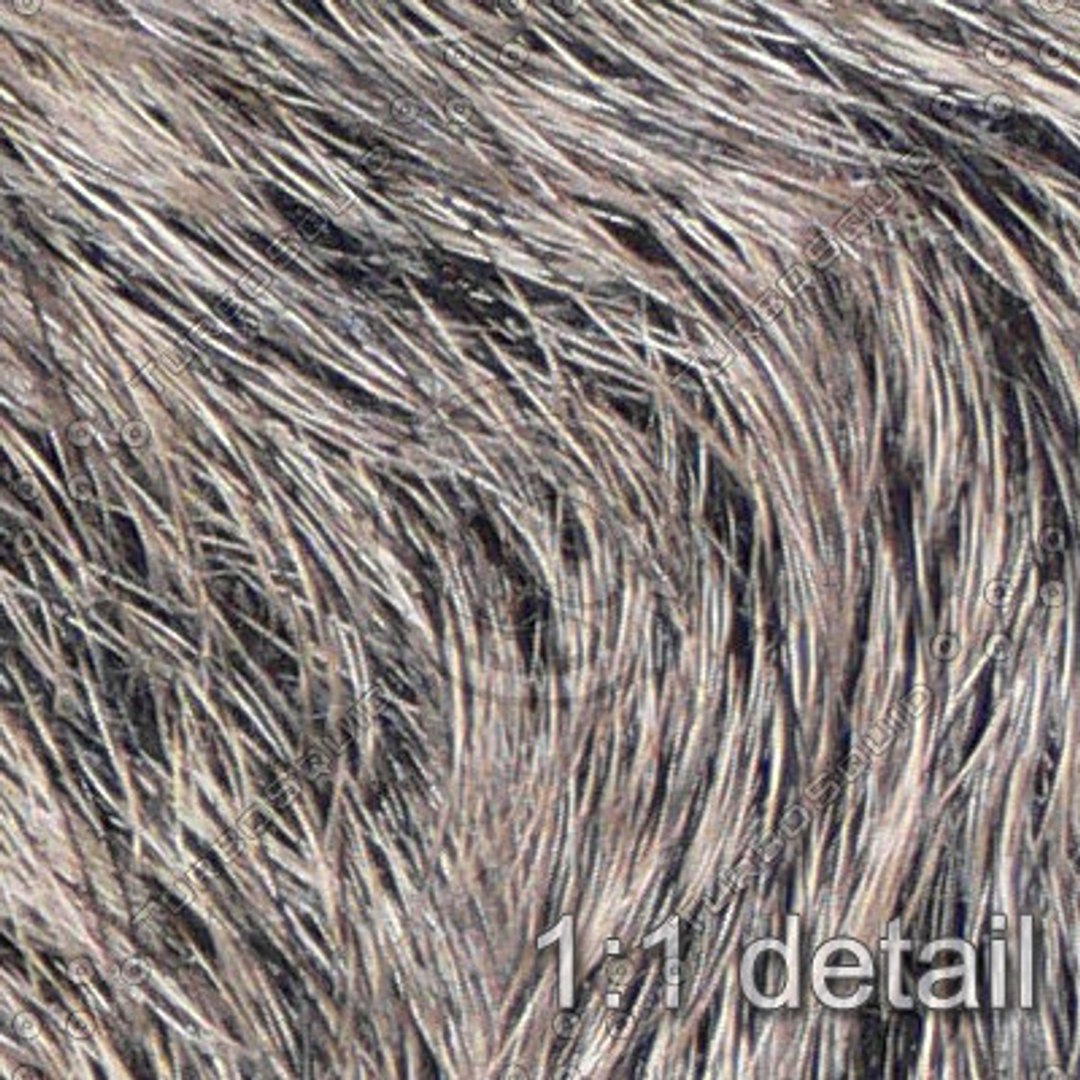 Fur Collection - TurboSquid 548121