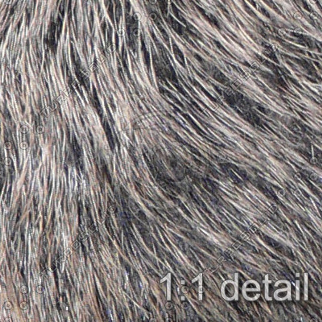 Fur Collection - TurboSquid 548121