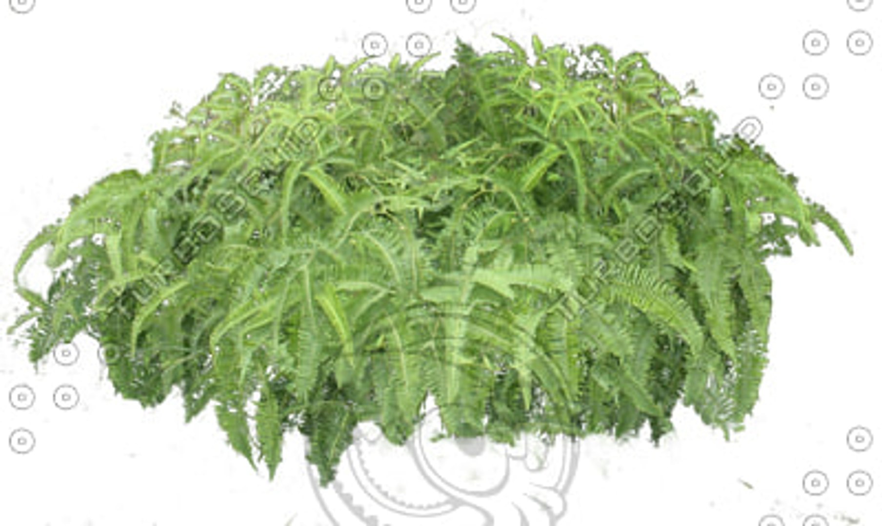 Resam.png - TurboSquid 523733