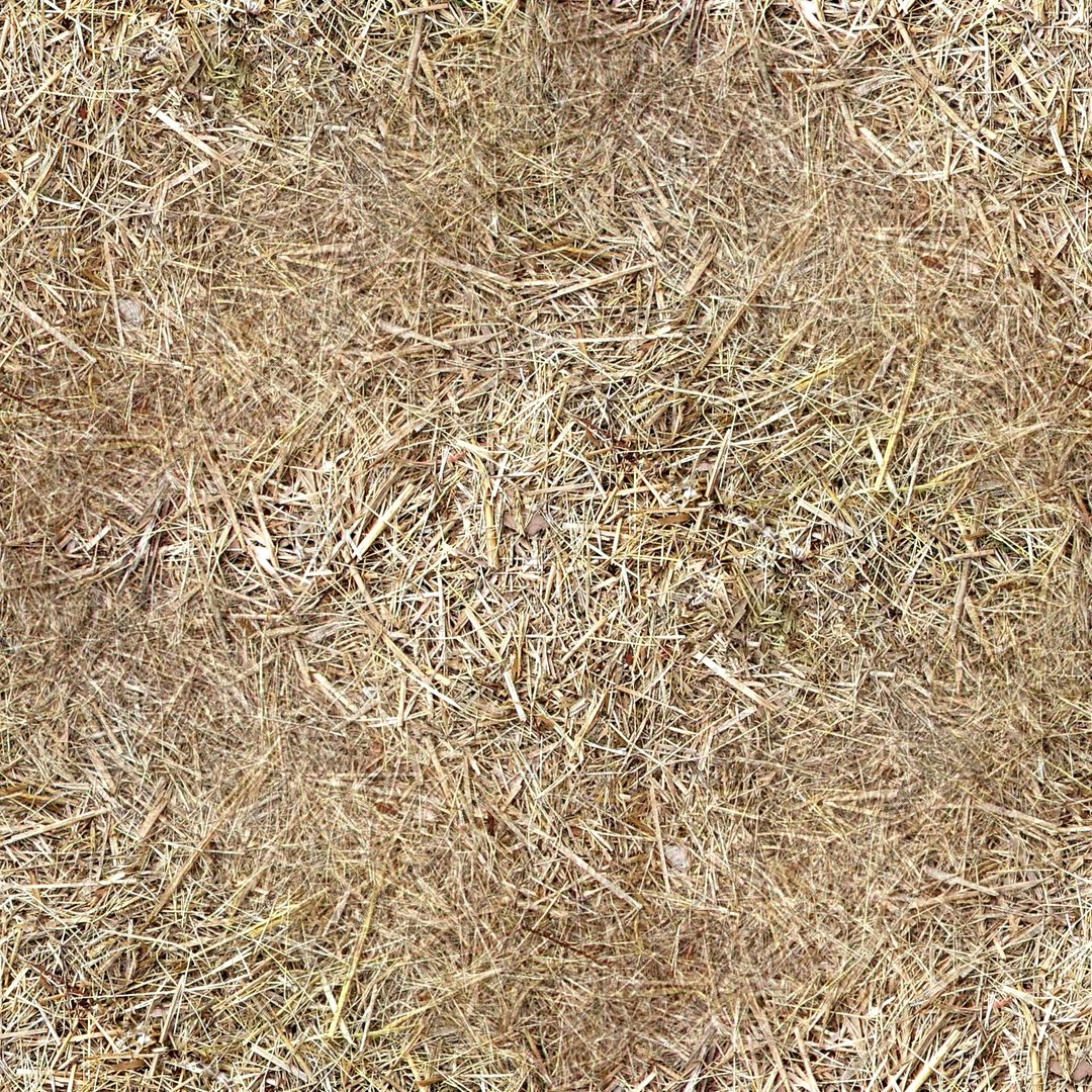 Seamless Straw Ground Texture - TurboSquid 549177