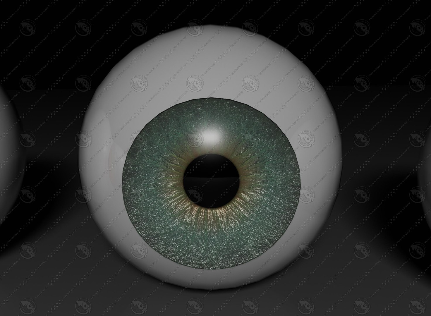 eye textures - TurboSquid 602979