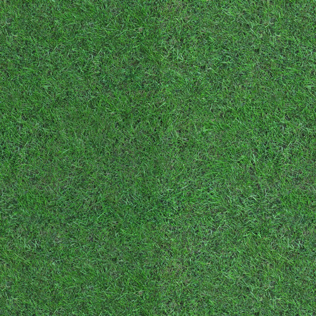Soccer Field Texture - TurboSquid 579366
