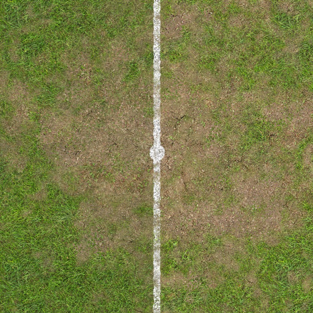 Soccer Field Texture - TurboSquid 579208