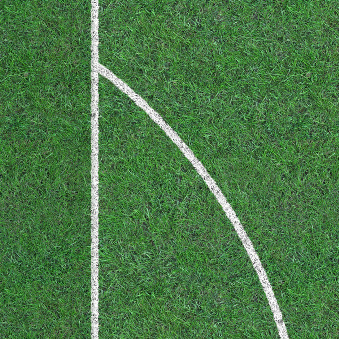 Soccer Field Texture - TurboSquid 579366