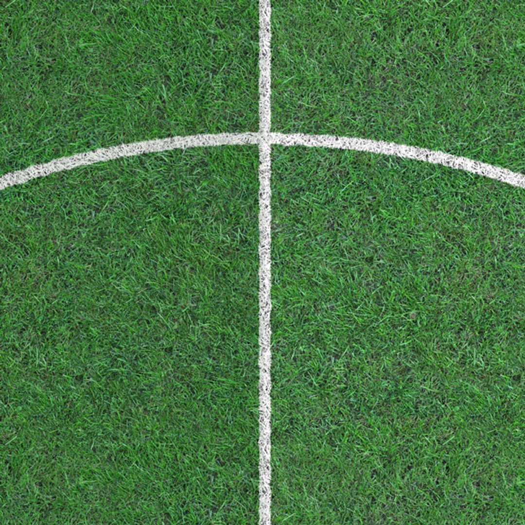 Soccer Field Texture - TurboSquid 579366
