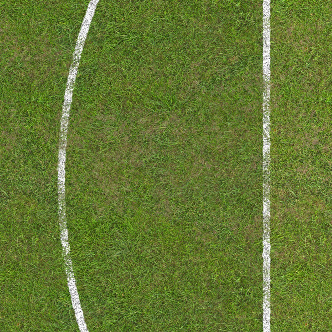 Soccer Field Texture - TurboSquid 579208