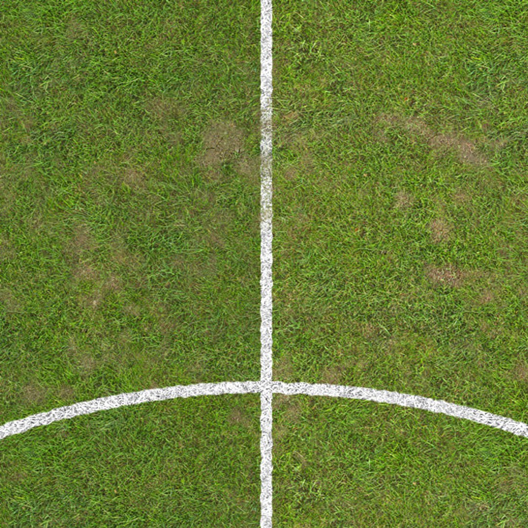 Soccer Field Texture - TurboSquid 579208