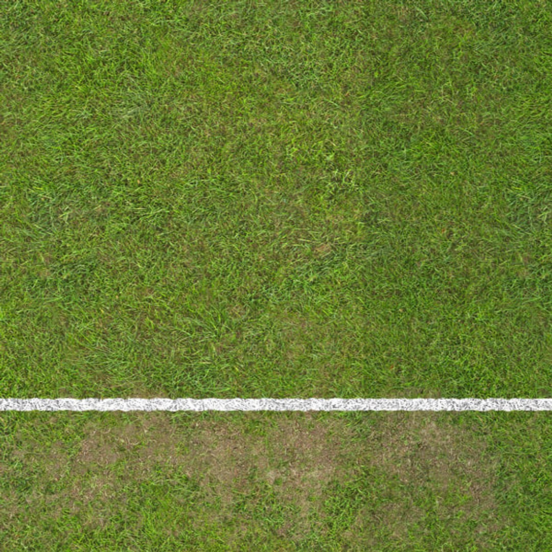 Soccer Field Texture - TurboSquid 579208