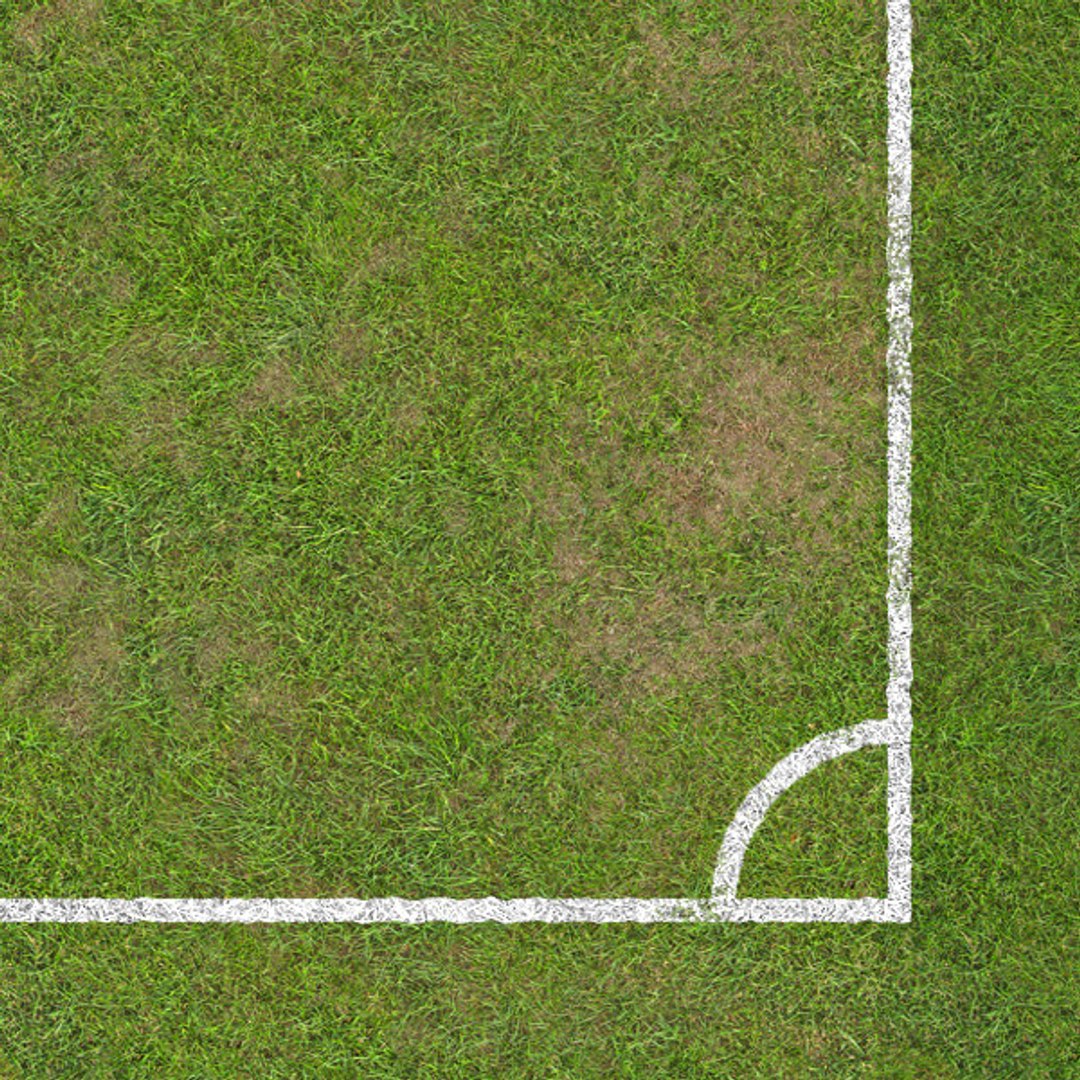 Soccer Field Texture - TurboSquid 579208