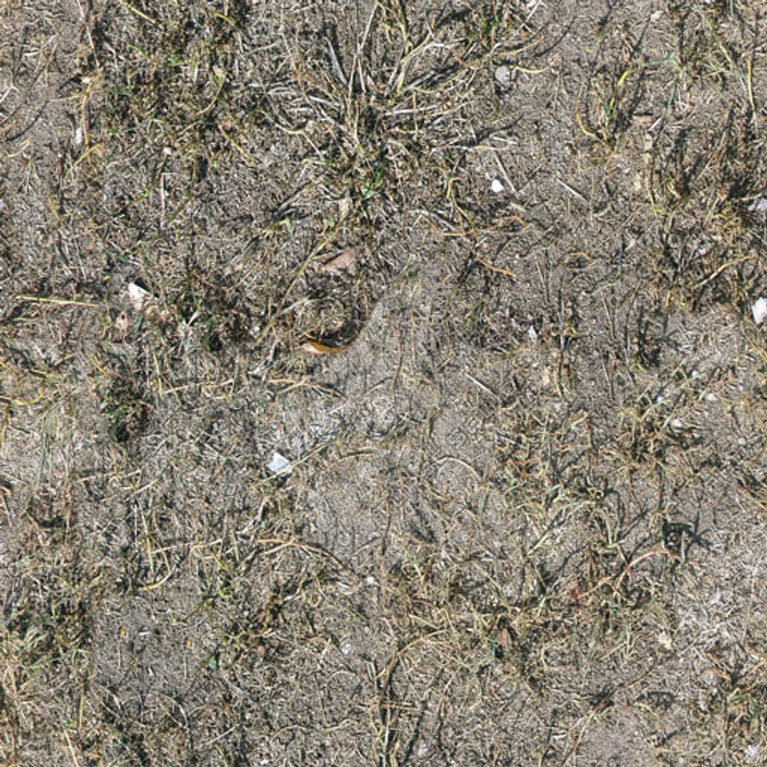 Sparse Dead Grass - TurboSquid 566083