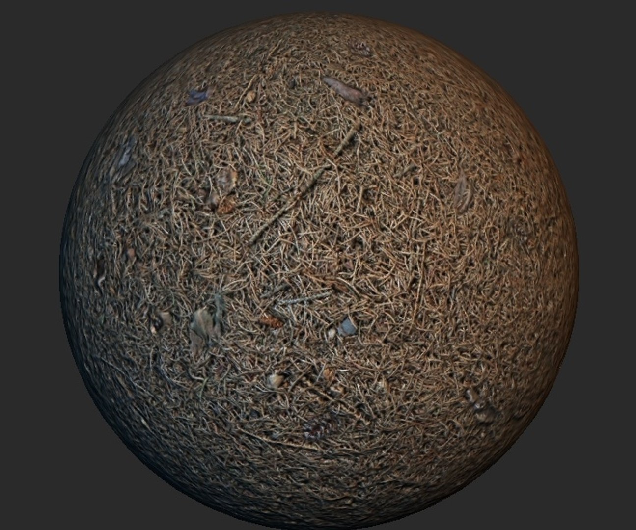 Forest Texture - TurboSquid 589011