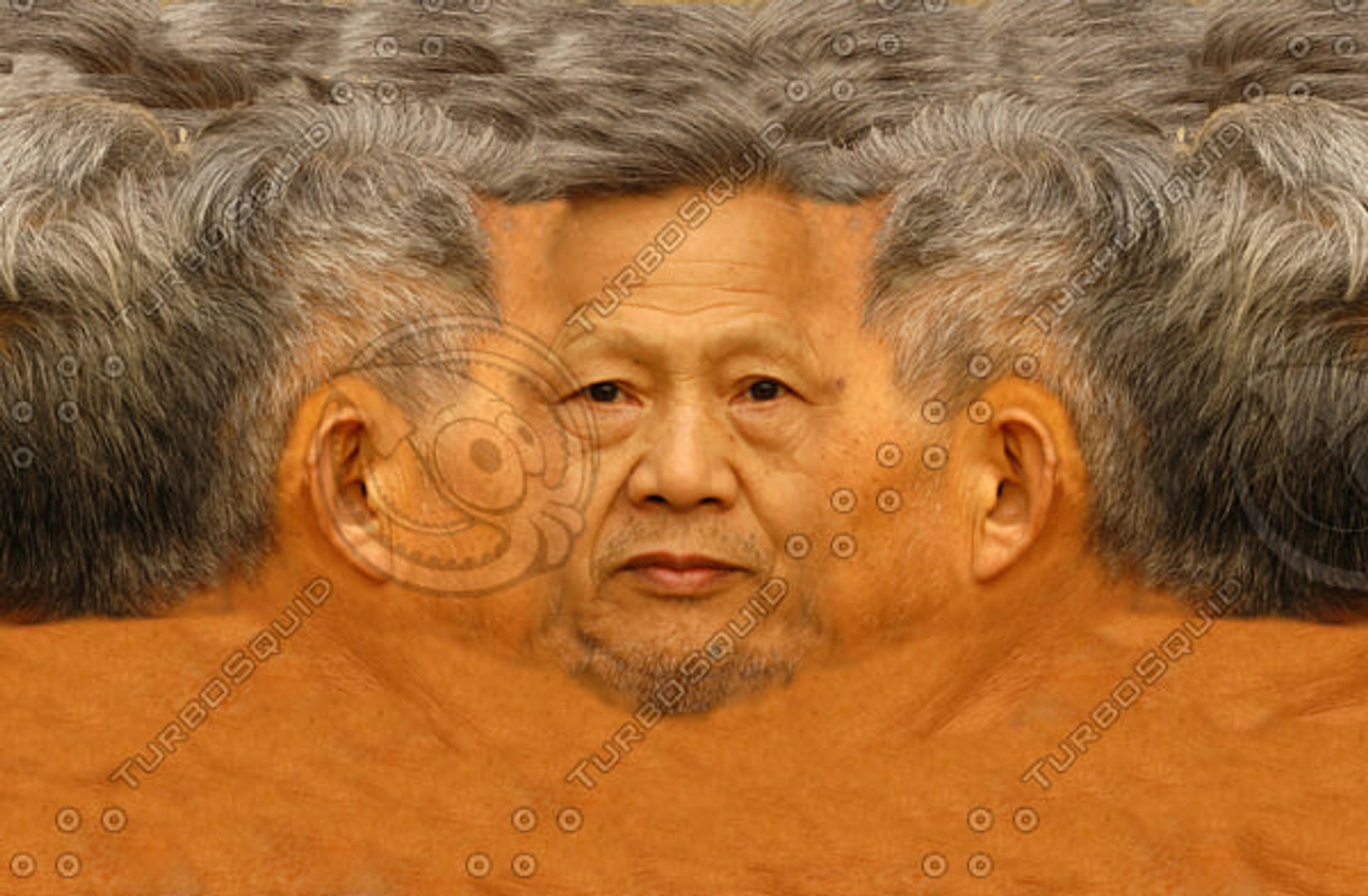 Old Oriental Man Face Texture - TurboSquid 611248
