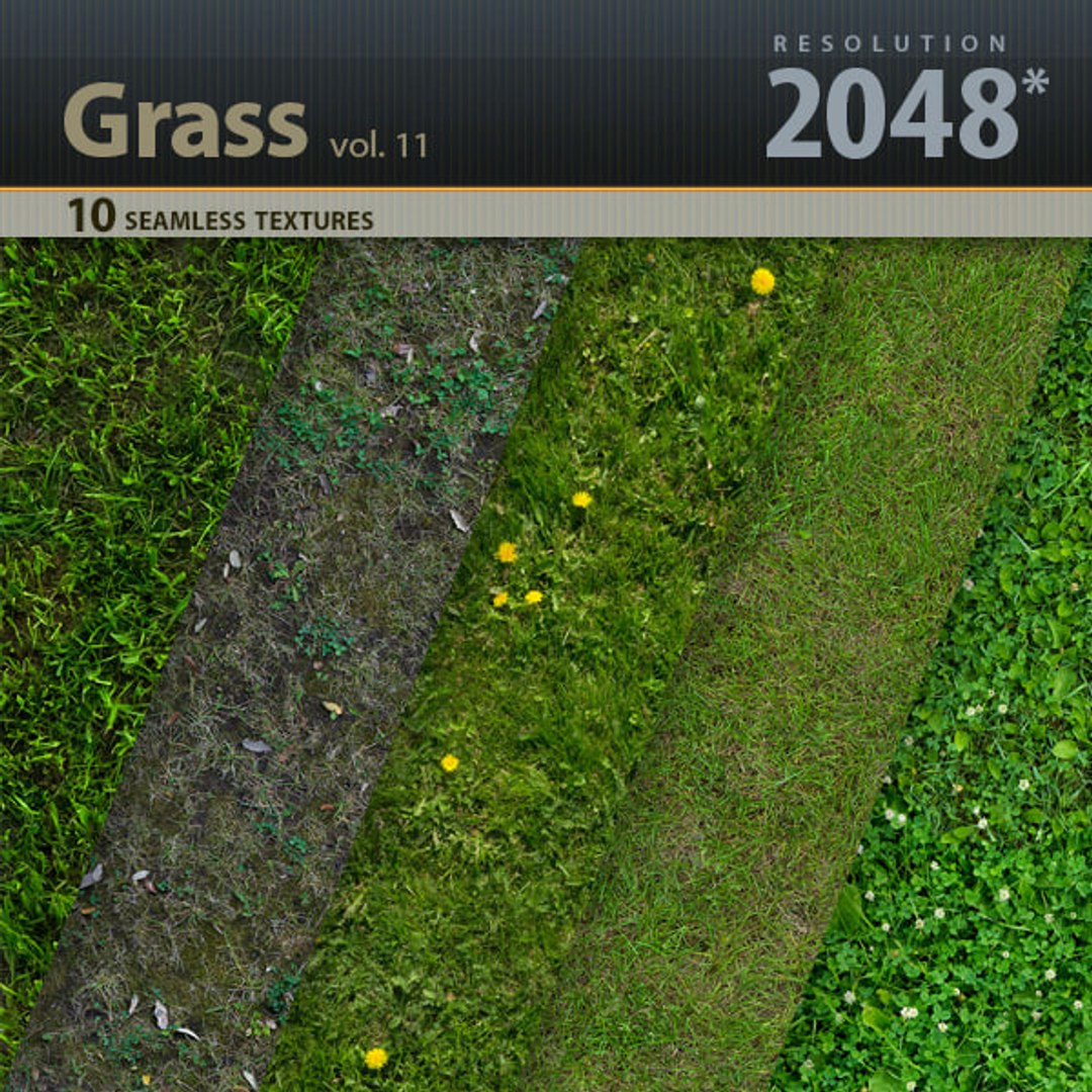 Grass Textures Vol.11 - TurboSquid 616633