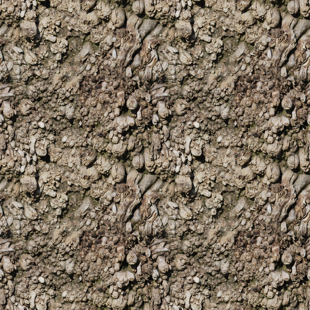 Palm Tree Texture - TurboSquid 641960