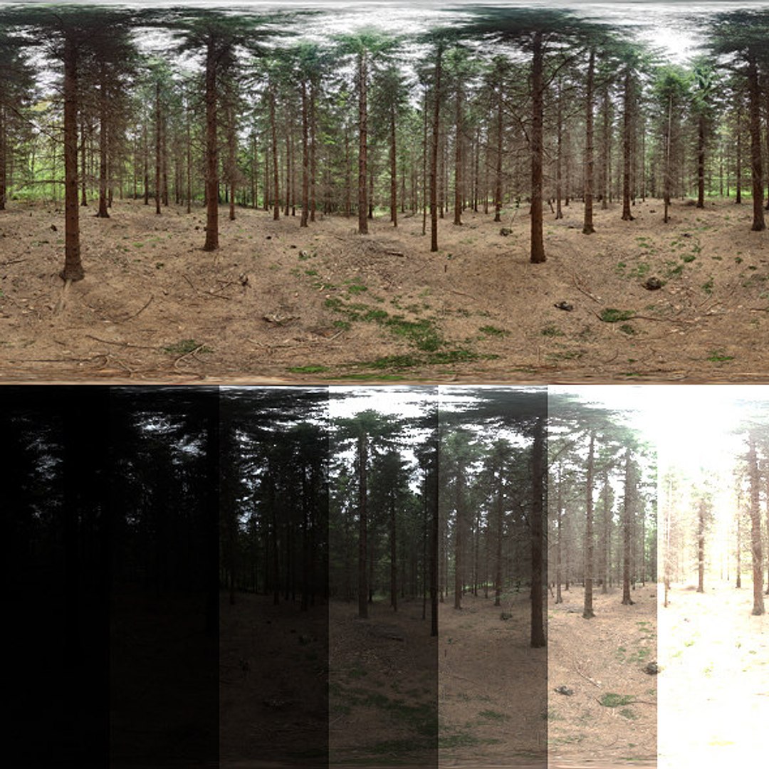 Forest Collection HDRI - TurboSquid 648950