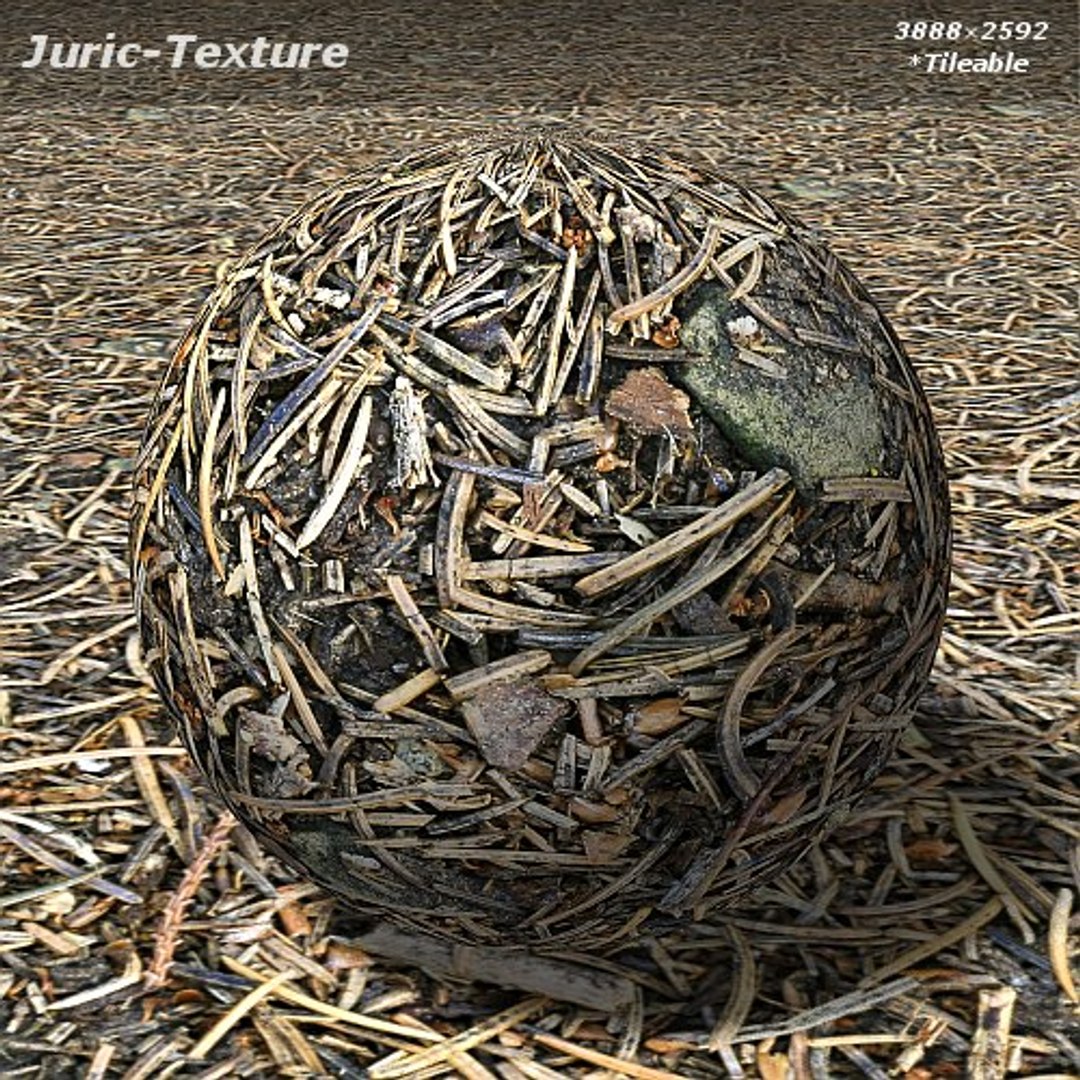 Forest Ground Needles 421 M - TurboSquid 705502