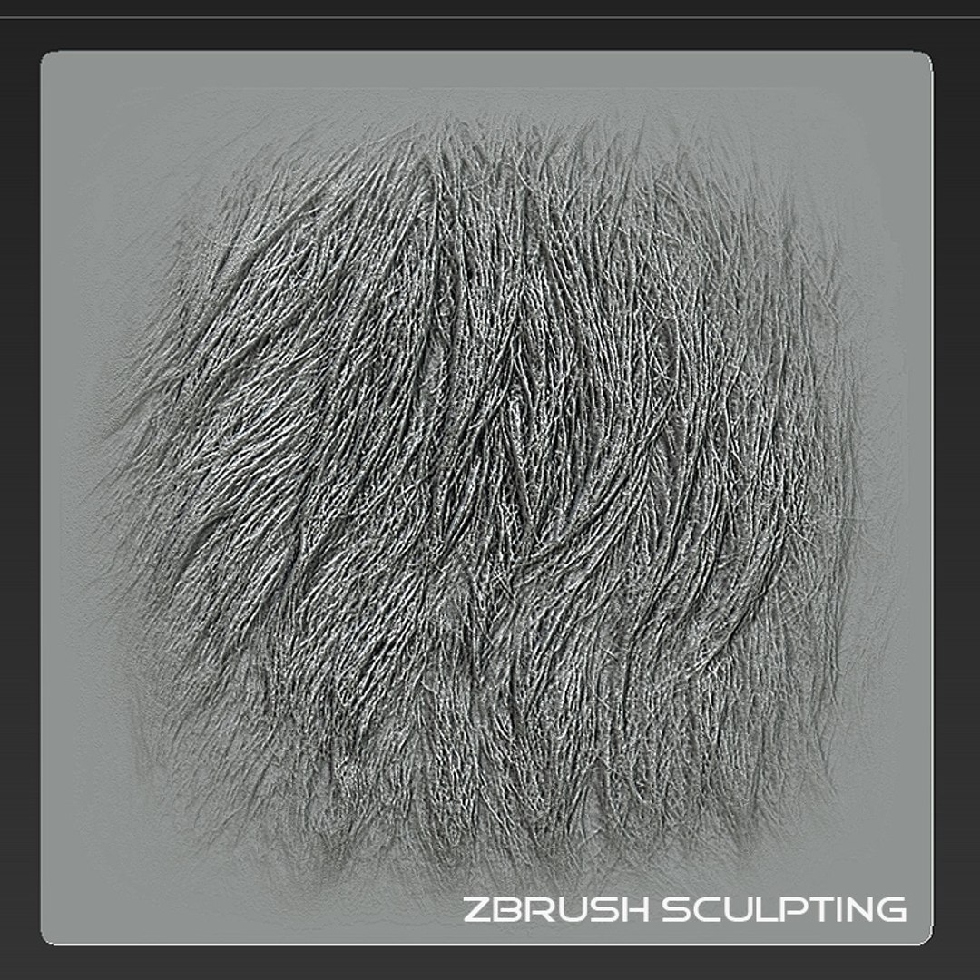 Animal Fur Alpha Brushes - TurboSquid 747599
