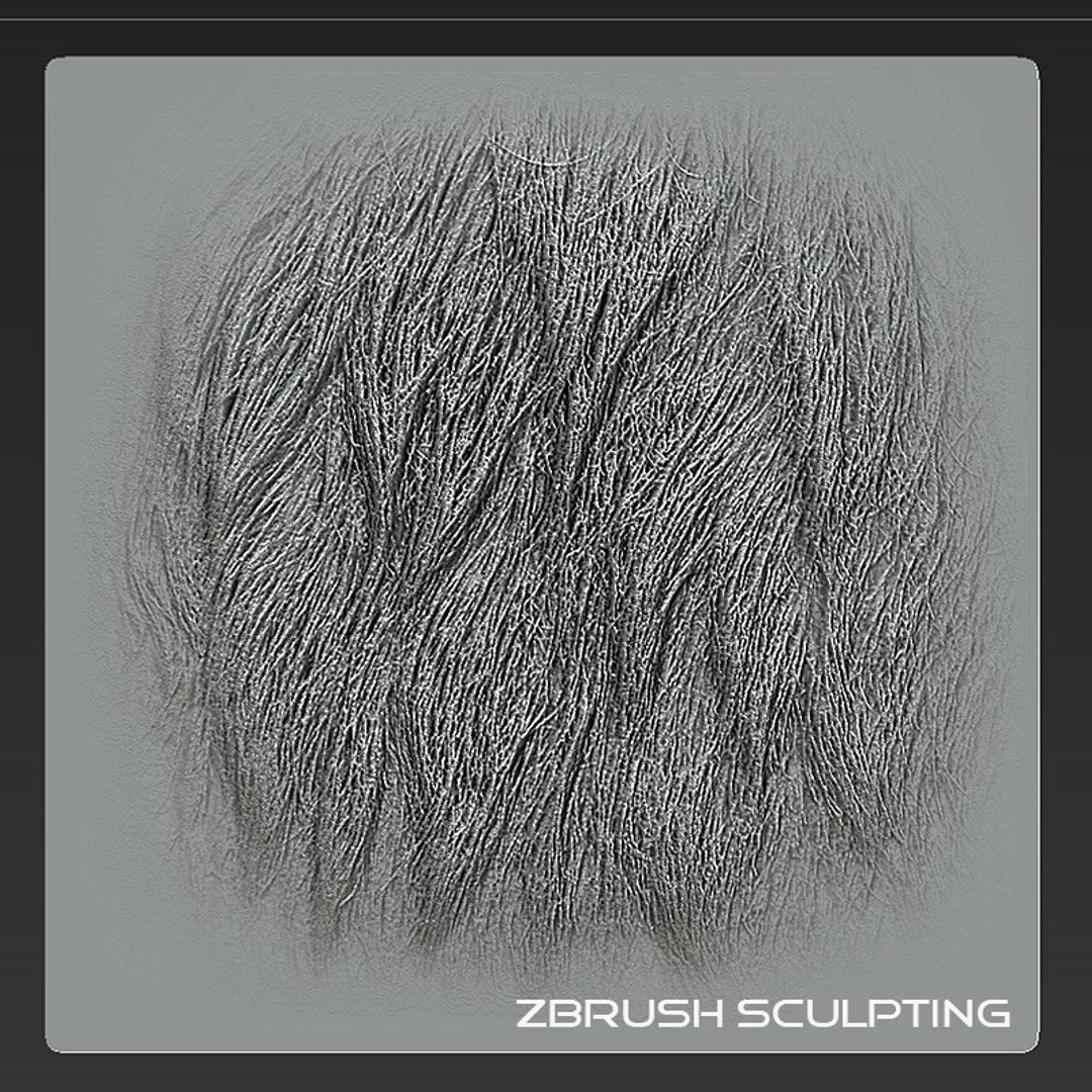 Animal Fur Alpha Brushes - TurboSquid 747599