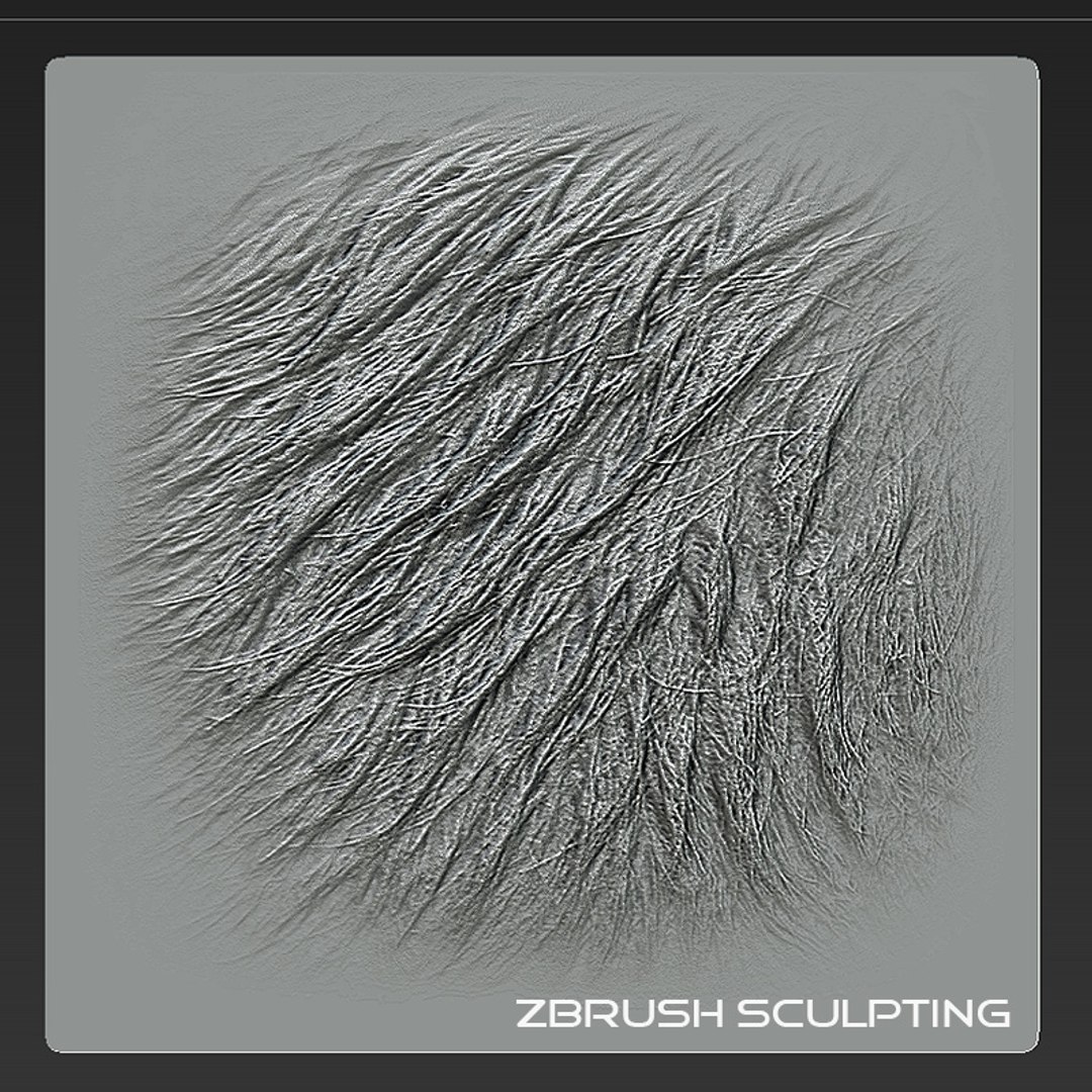 Animal Fur Alpha Brushes - TurboSquid 747599