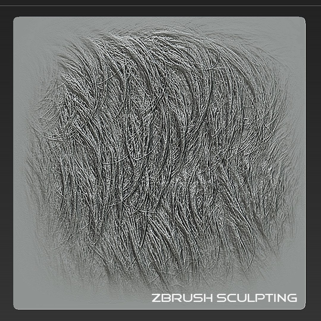 Animal Fur Alpha Brushes - TurboSquid 747599