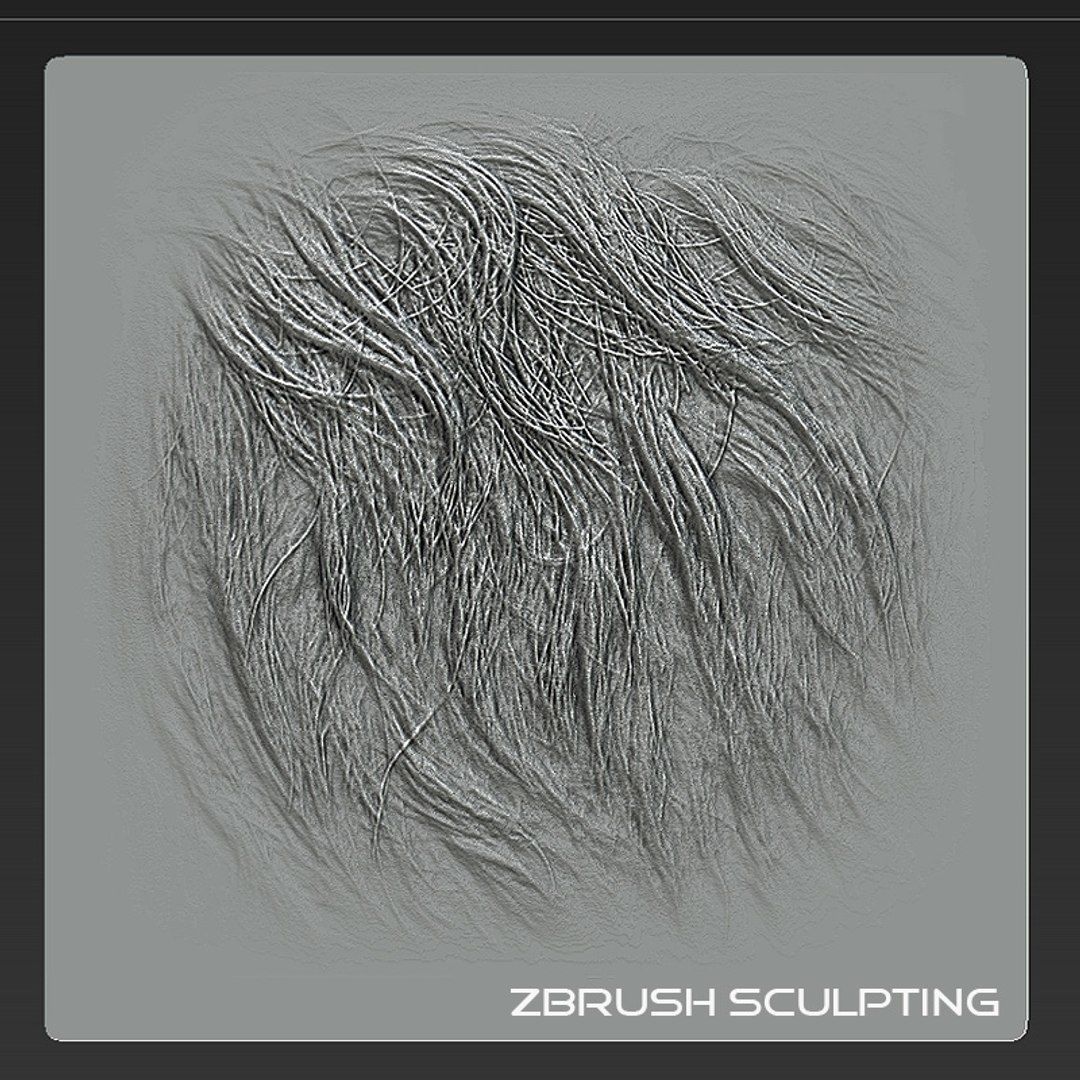 Animal Fur Alpha Brushes - TurboSquid 747599