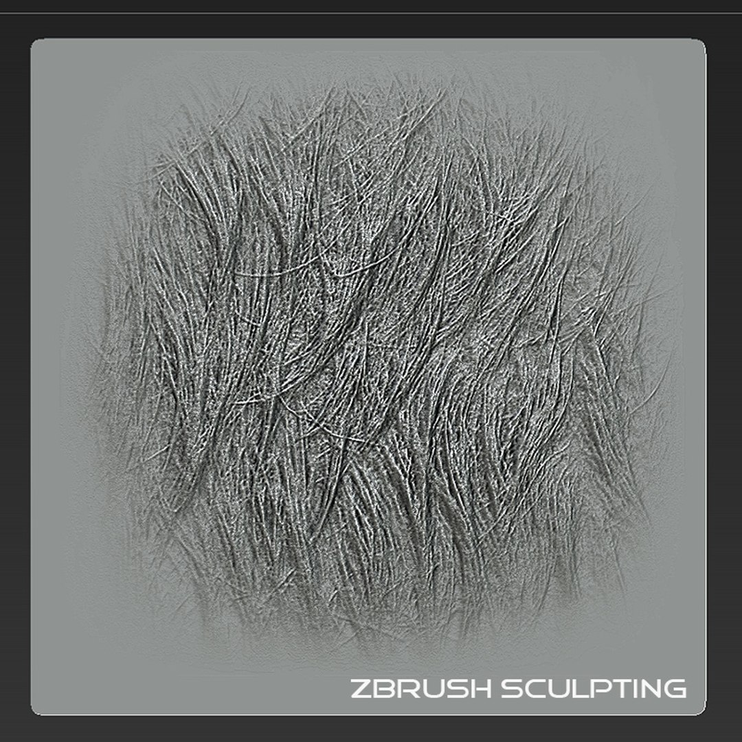 Animal Fur Alpha Brushes - TurboSquid 747599