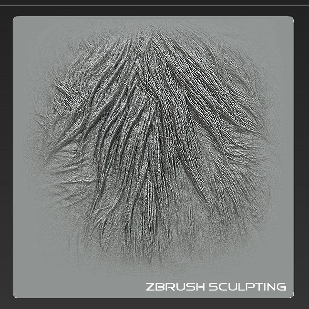 Animal Fur Alpha Brushes - TurboSquid 747599