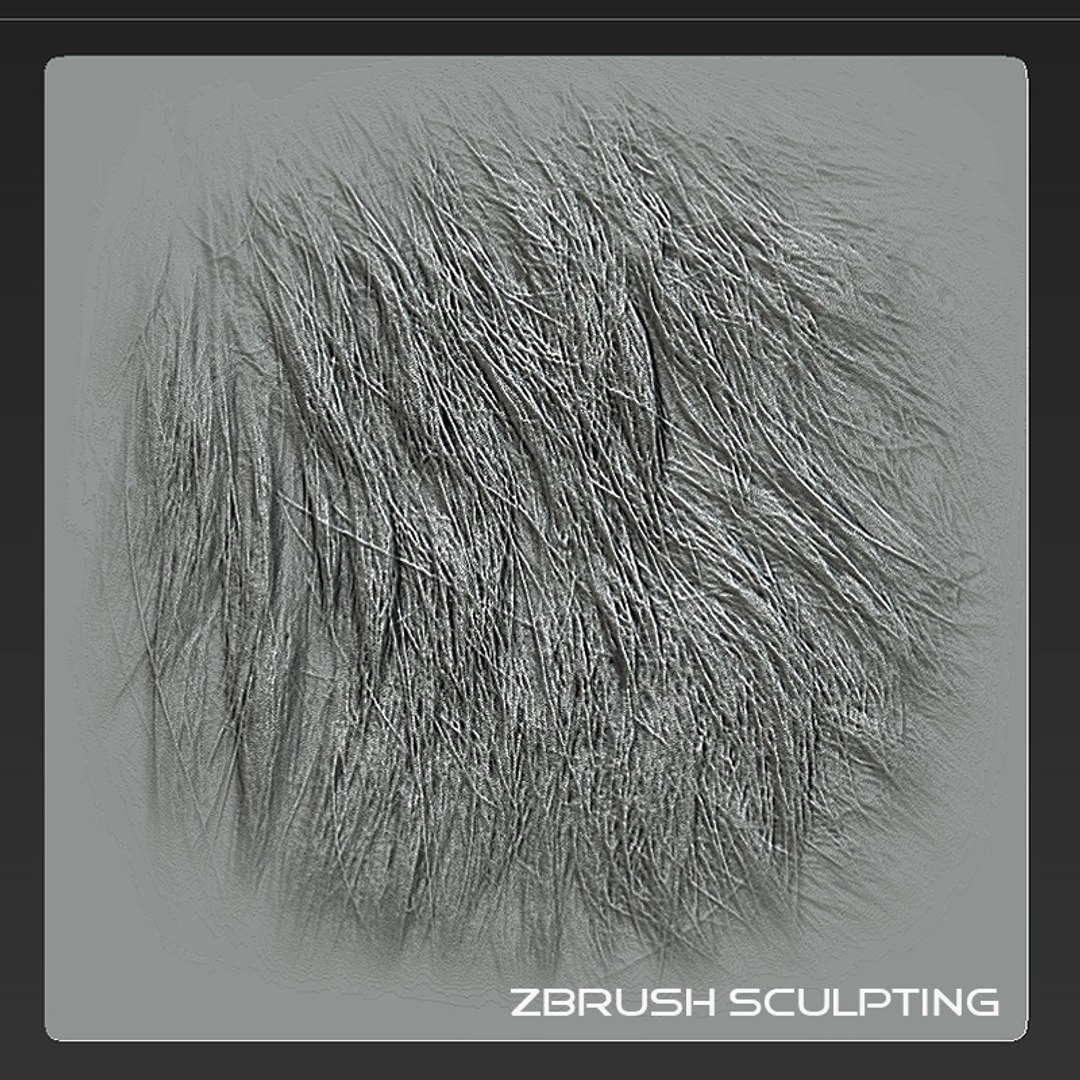 Animal Fur Alpha Brushes - TurboSquid 747599