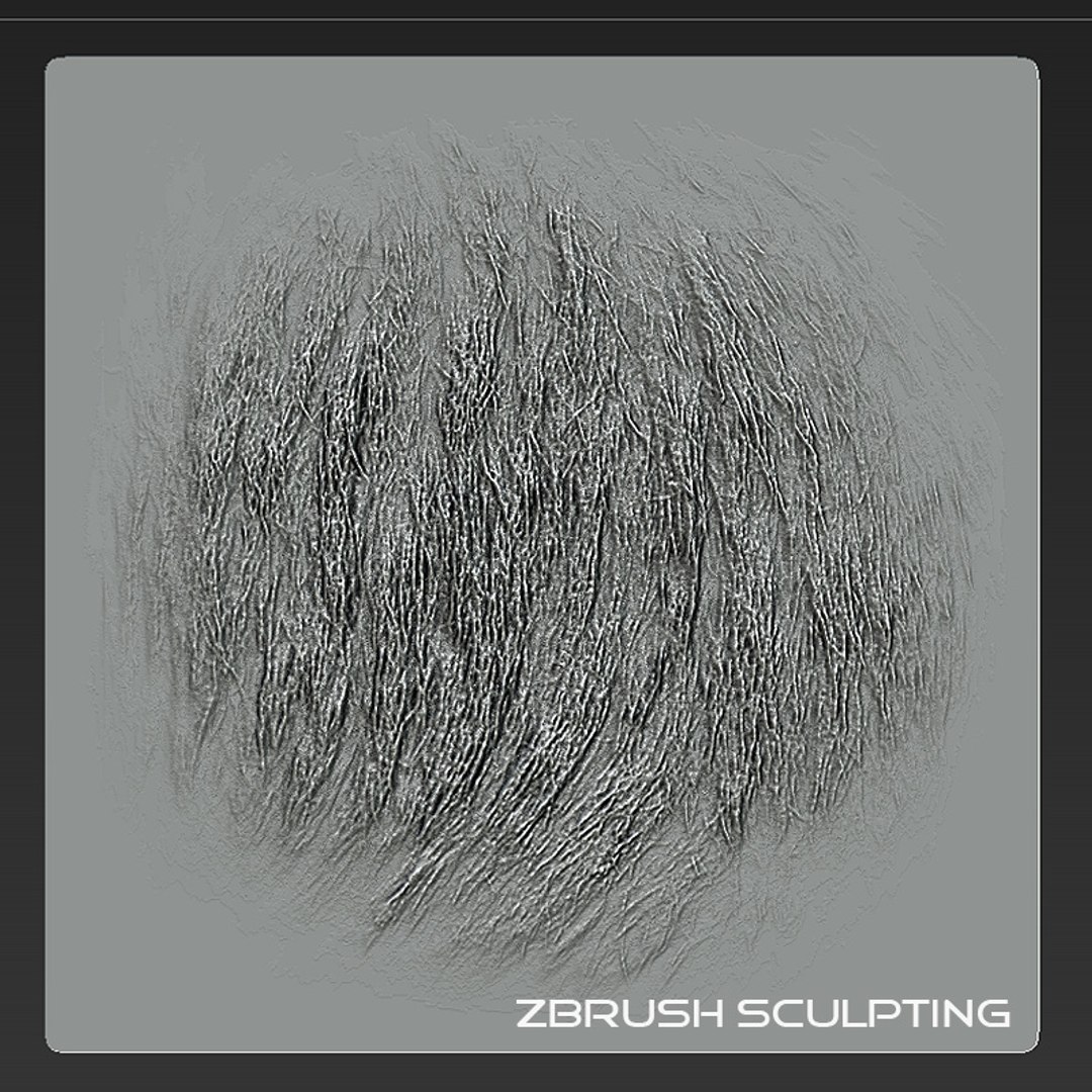 Animal Fur Alpha Brushes - TurboSquid 747599