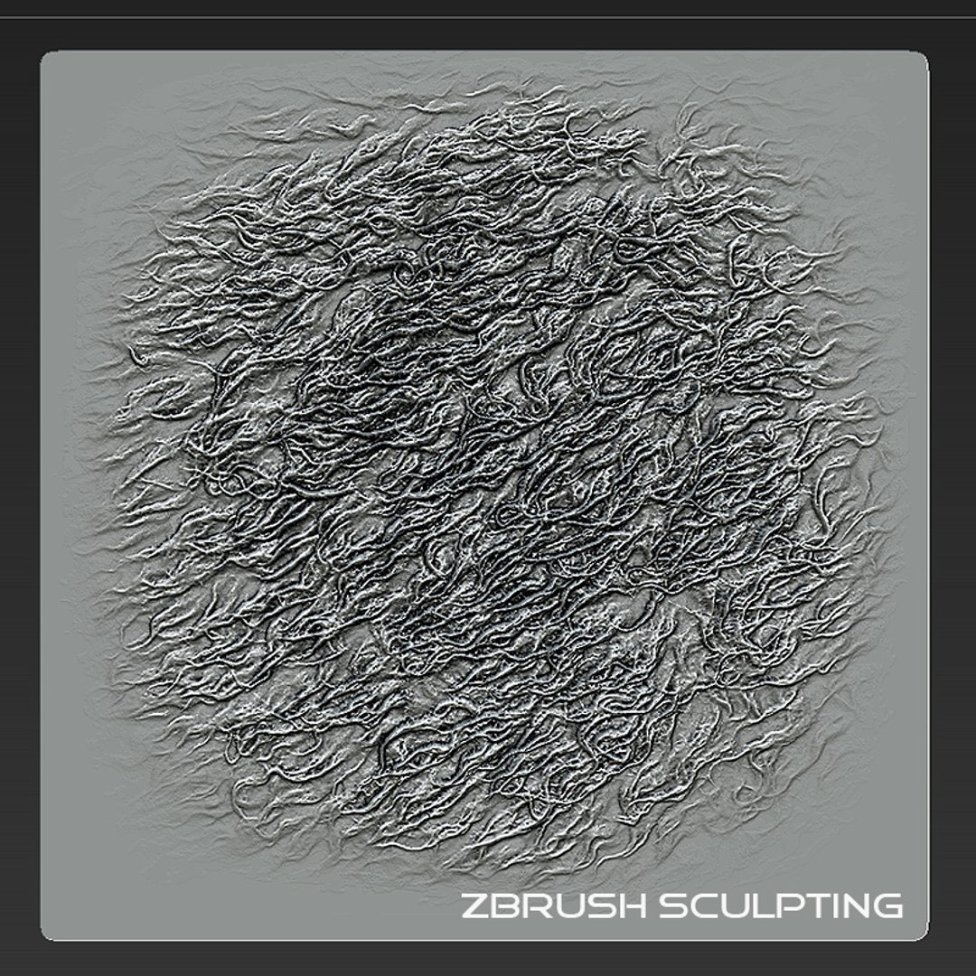 Animal Fur Alpha Brushes - TurboSquid 747599